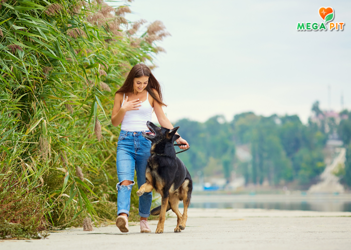 Печенье с Говядиной и Шпинатом → Деревенские лакомства ᐈ Купить в Казахстане | Алматы | Астана ...